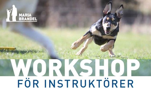 Workshop för instruktörer! – Maria Brandel