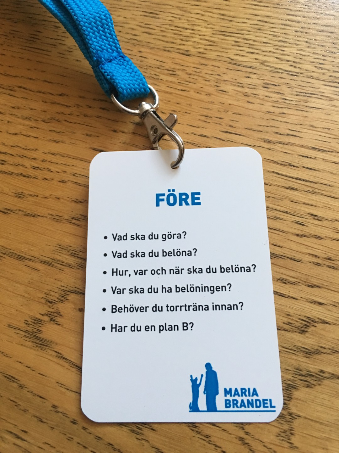 Checka in eller checka ut – Maria Brandel