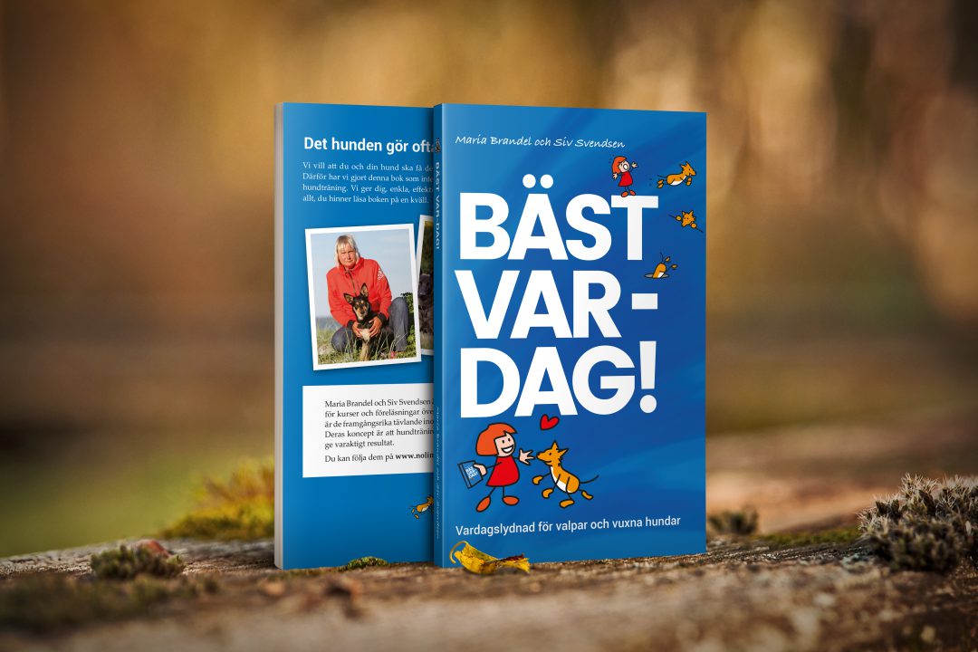 Boken Bäst-var-dag! – Maria Brandel